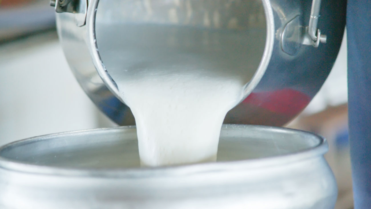 Antioxidant and polyphenol content of different milk and dairy products ...