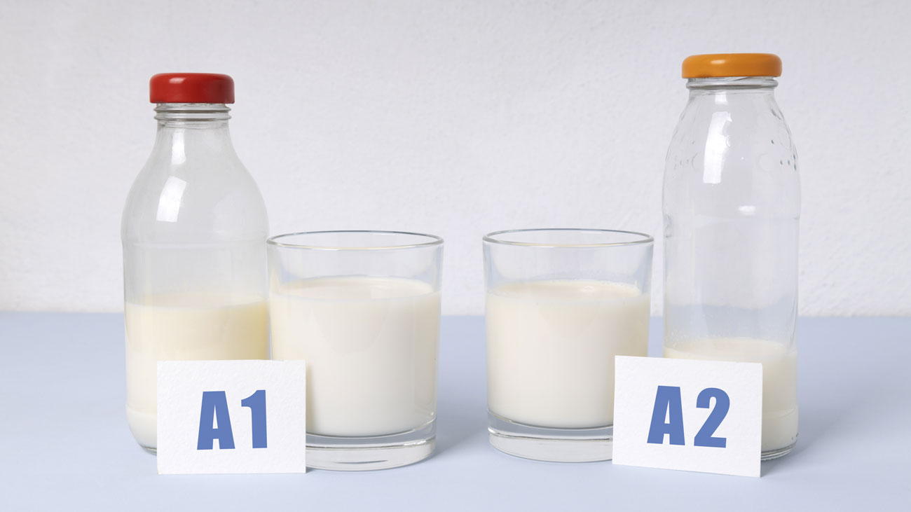 Analysis of milk protein fractions and their genetic variants - HDRI